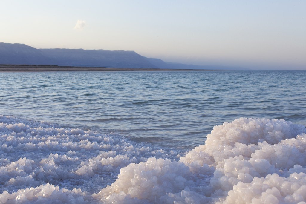 Best Dead Sea Salt Benefits For Pets Soos Pets Best Dead Sea Salt Benefits For Pets Soos Pets