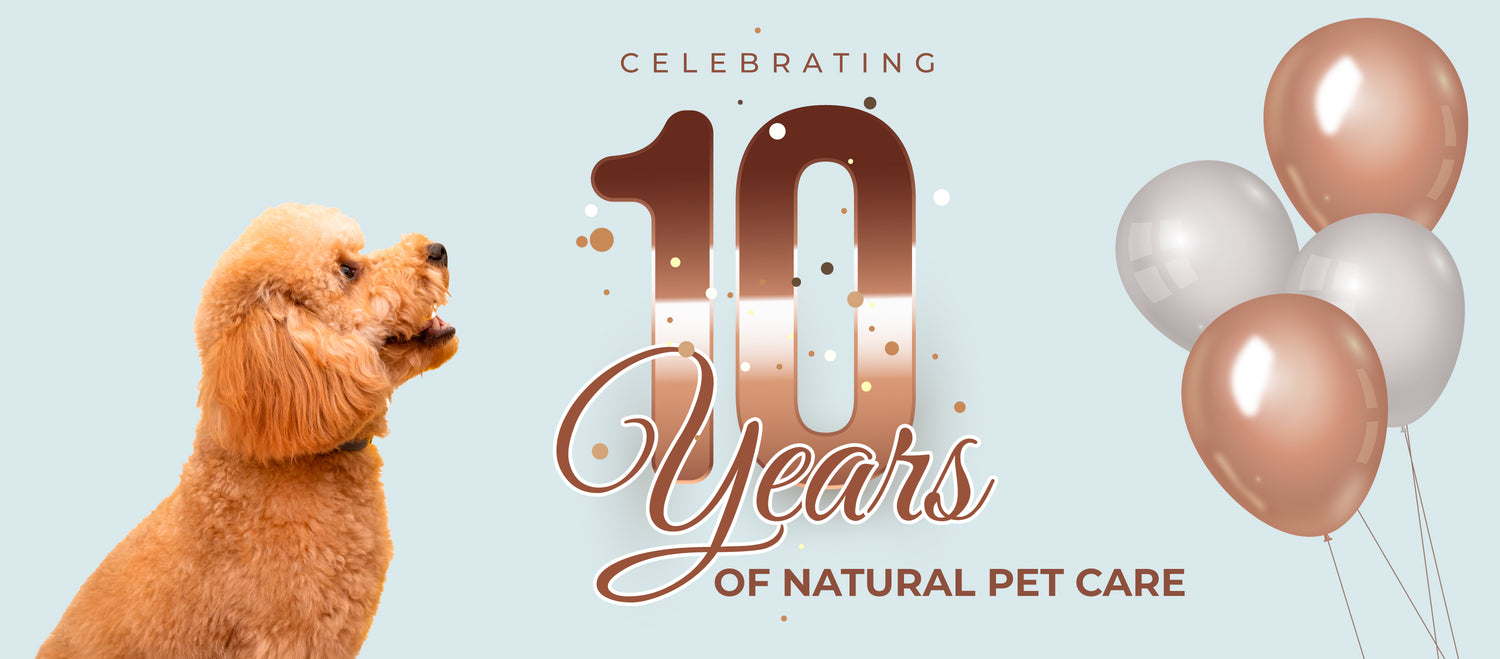 Soos Pets | Dog and Cat Dead Sea Natural Pet Products & Supplies