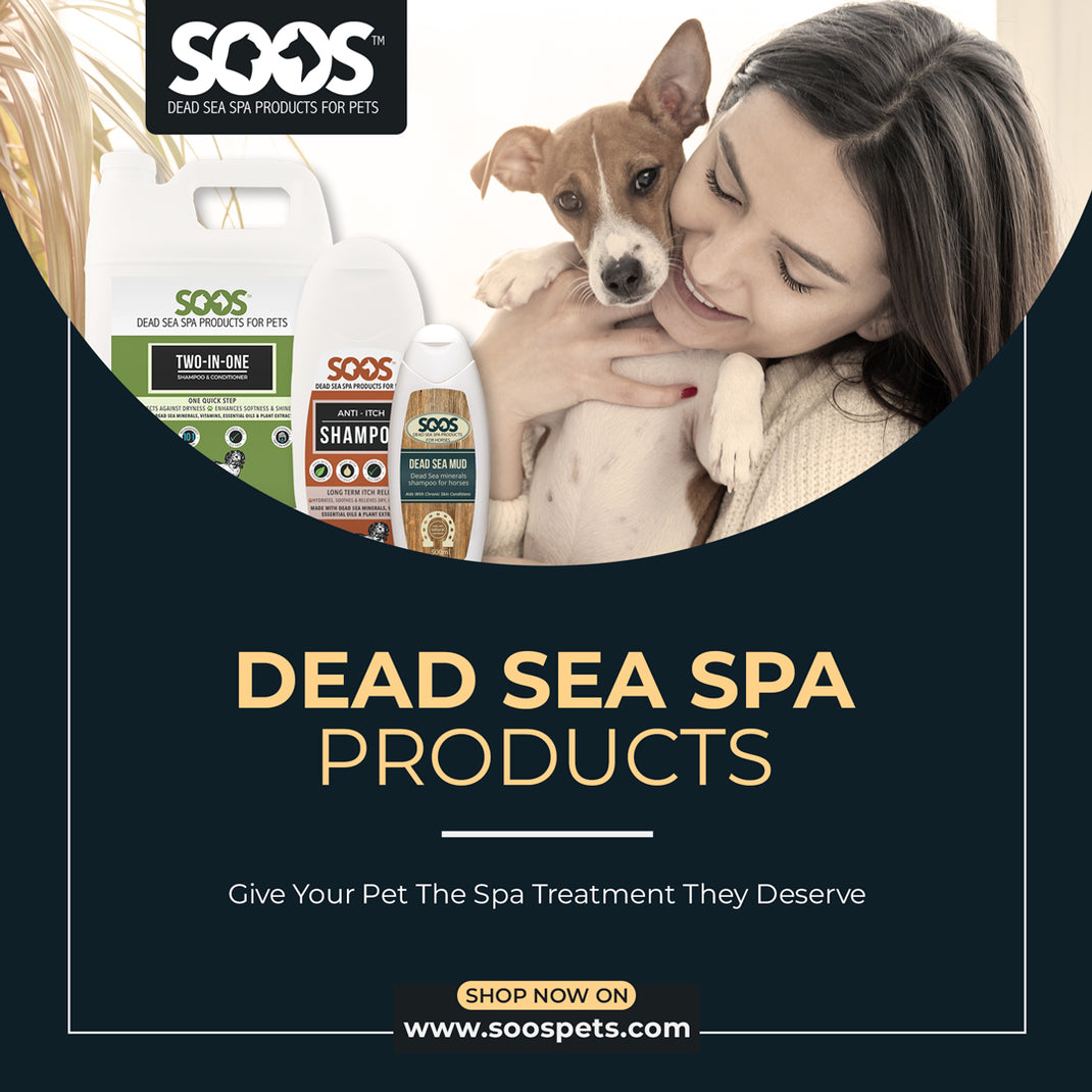 Professional pet supplies for retail and wholesale – Soos Pets