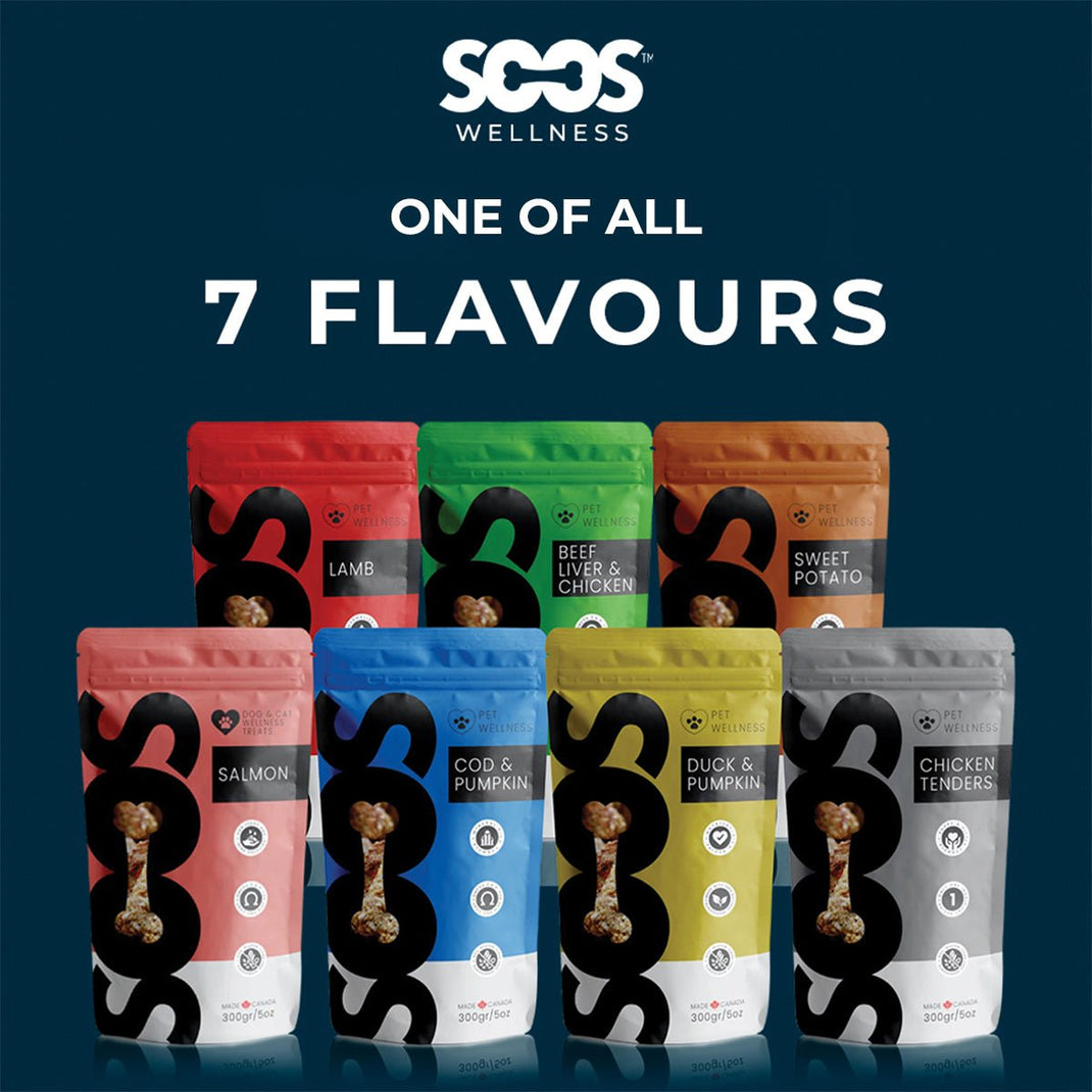 Professional pet supplies for retail and wholesale – Soos Pets