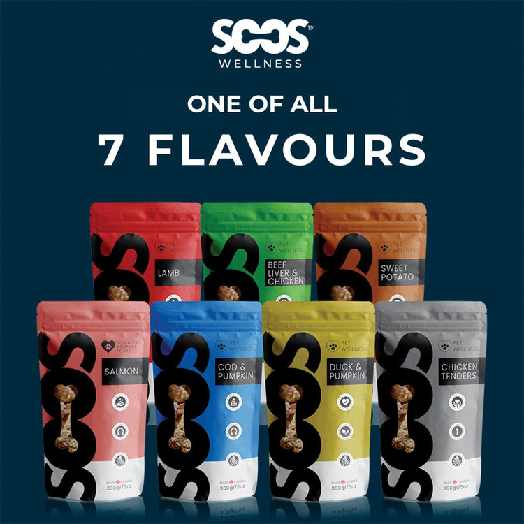 Professional pet supplies for retail and wholesale – Soos Pets