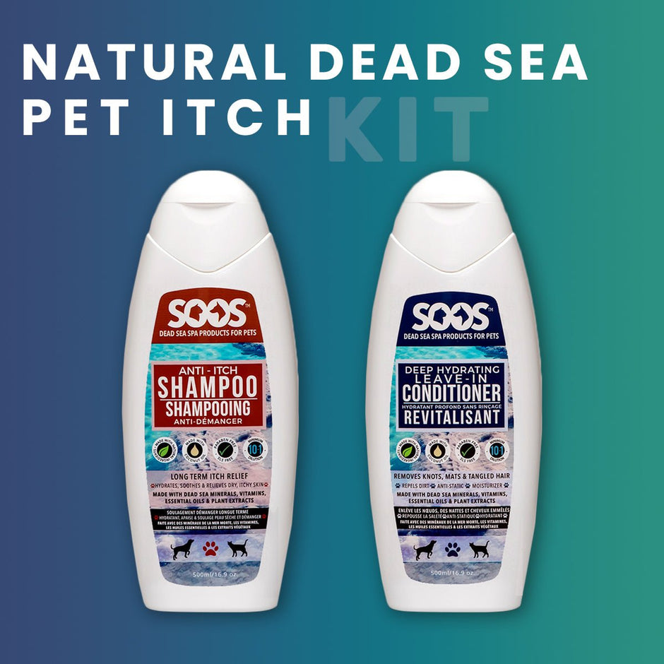 Cats – Soos Pets